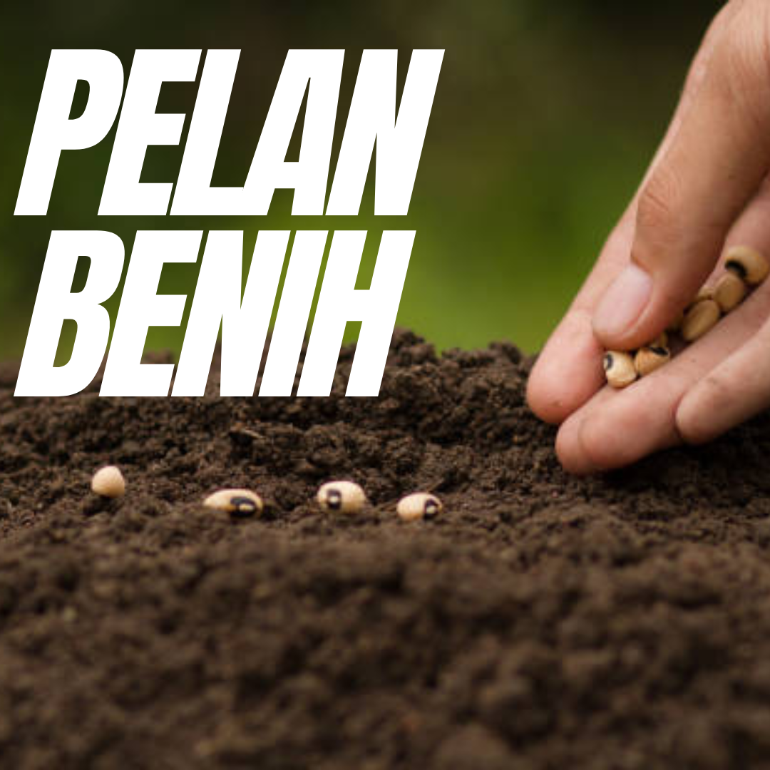 Pelan Benih – BO International